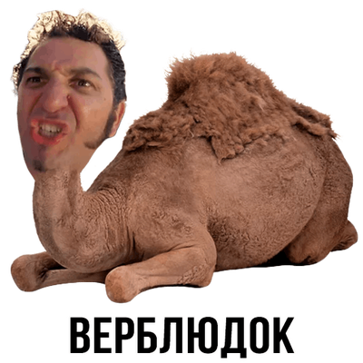 Заказ | Пикабу