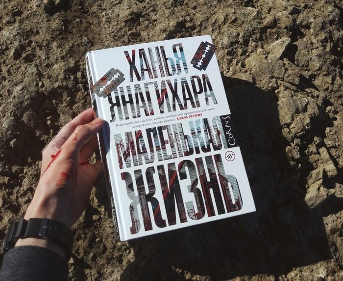 Ханья Янагихара "Маленькая жизнь" | Пикабу