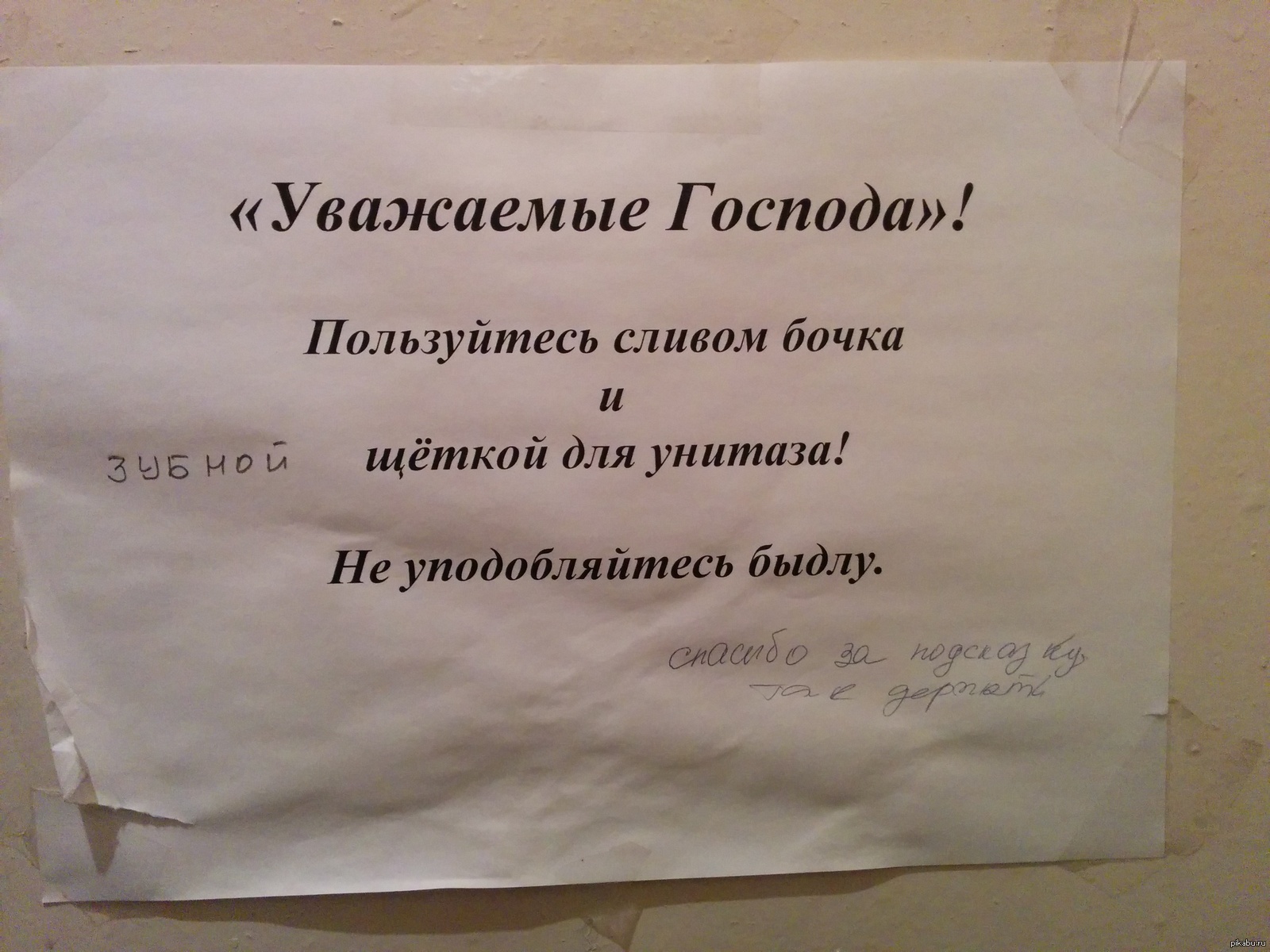 Объявление в уборной | Пикабу