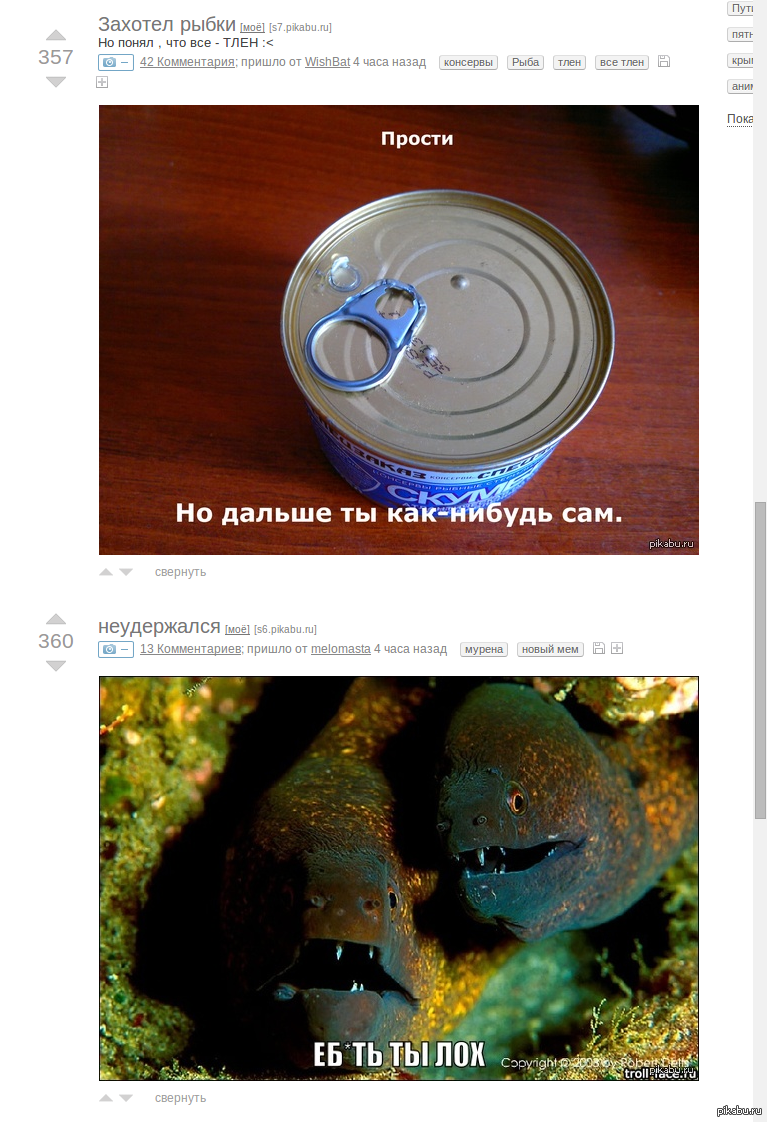Совпало | Пикабу