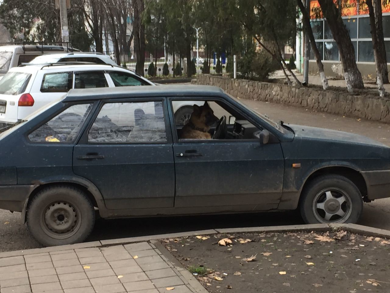 До магаза 150 р. ))) | Пикабу