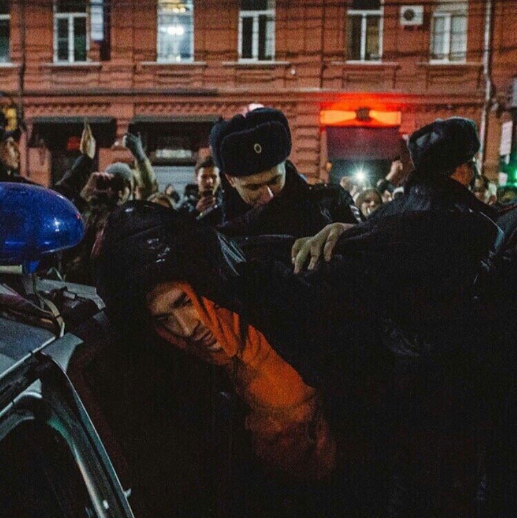 Хаски | Пикабу