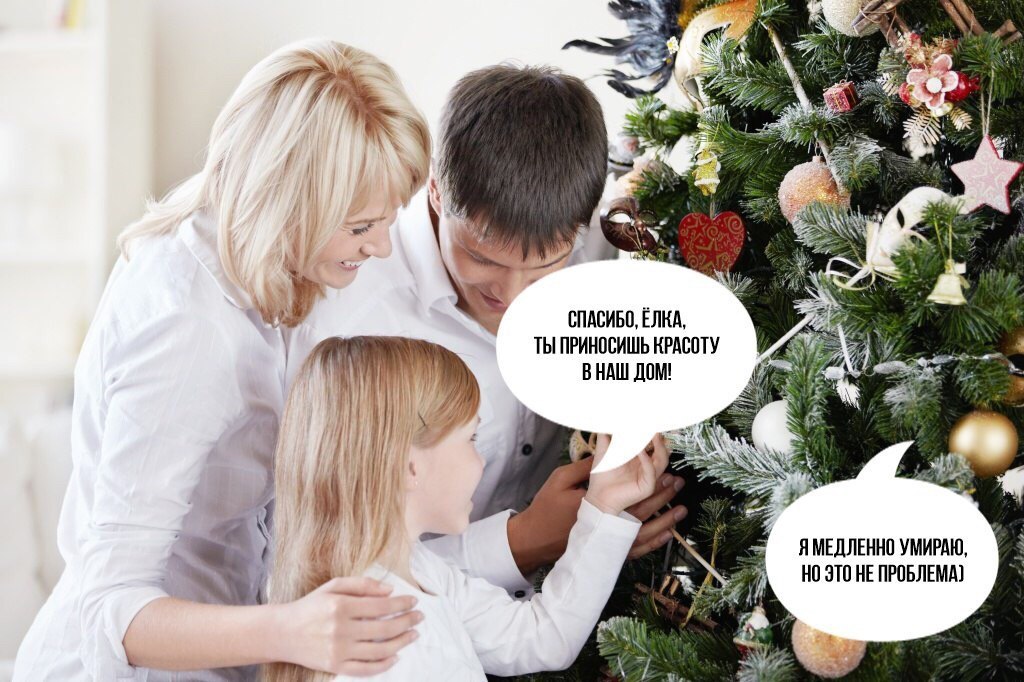 Все мы немного ёлка Пикабу